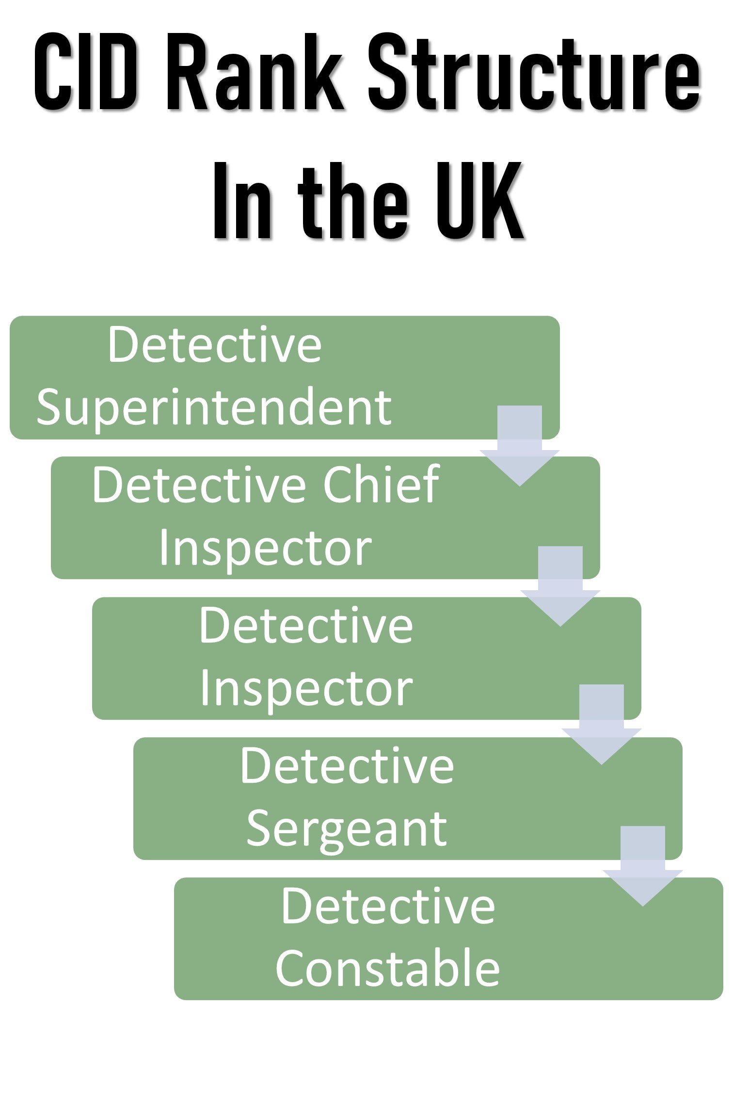 Careers in Policing: Working in CID - 999 Essentials